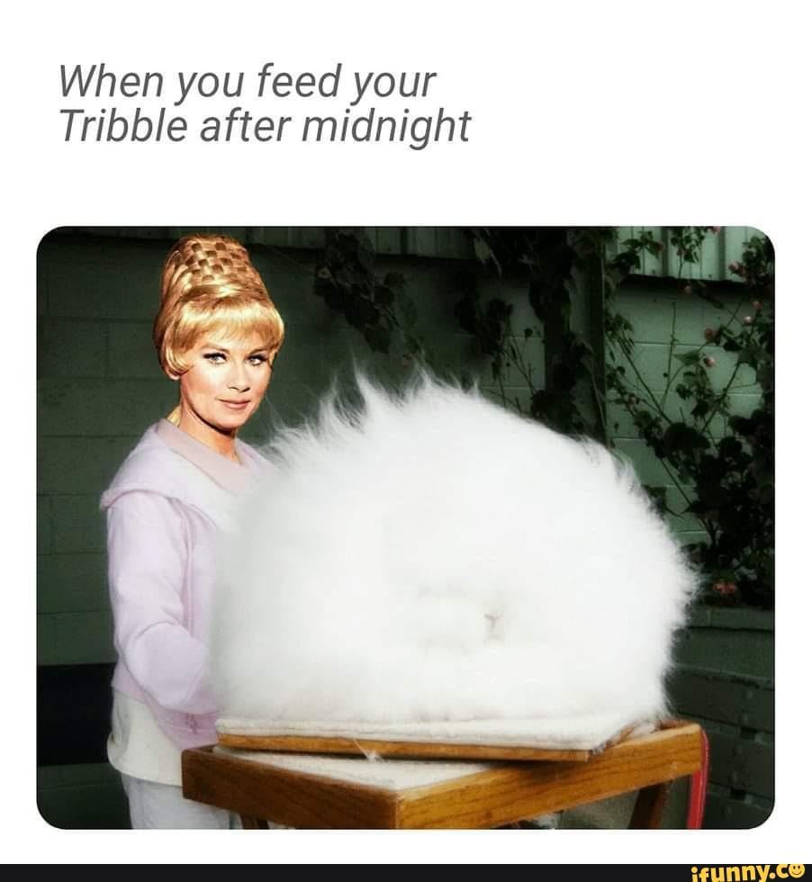 Tribble memes. Best Collection of funny Tribble pictures on iFunny