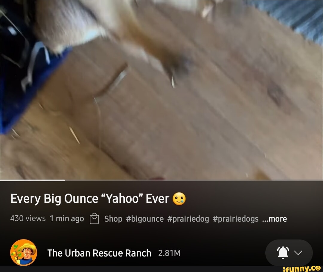 Picture memes IGbpOts2B by Jelq - iFunny