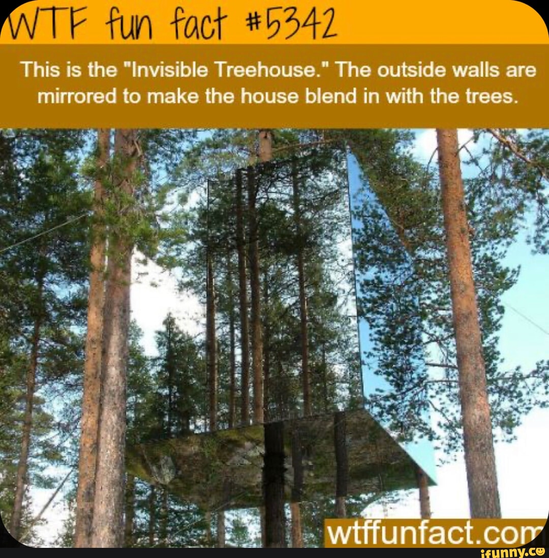 Treehouse memes. Best Collection of funny Treehouse pictures on iFunny