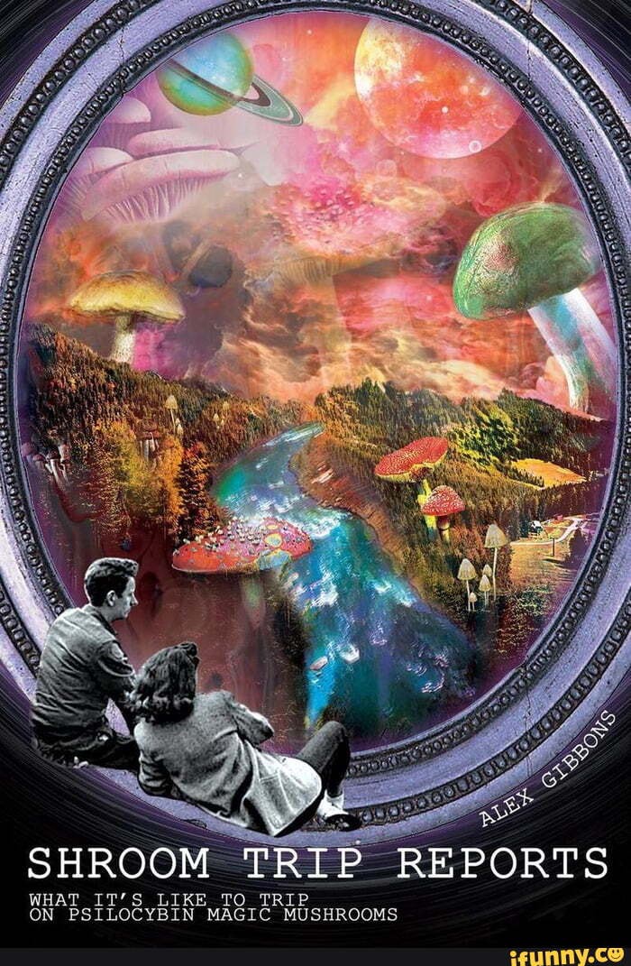 Shroom_trip_reports_what_its_like_to_trip_on_psilocybin_magic_mushrooms ...