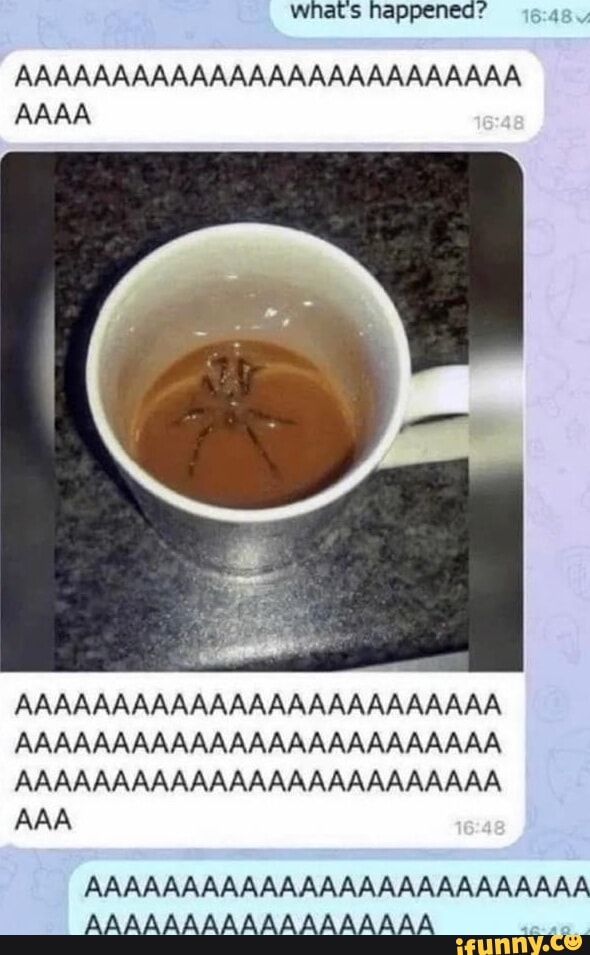 Aaaaaaaaaaaaaaaaaaaaaaaaa memes. Best Collection of funny ...