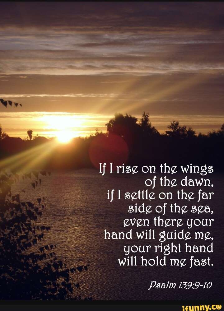 Sga memes. Best Collection of funny Sga pictures on iFunny