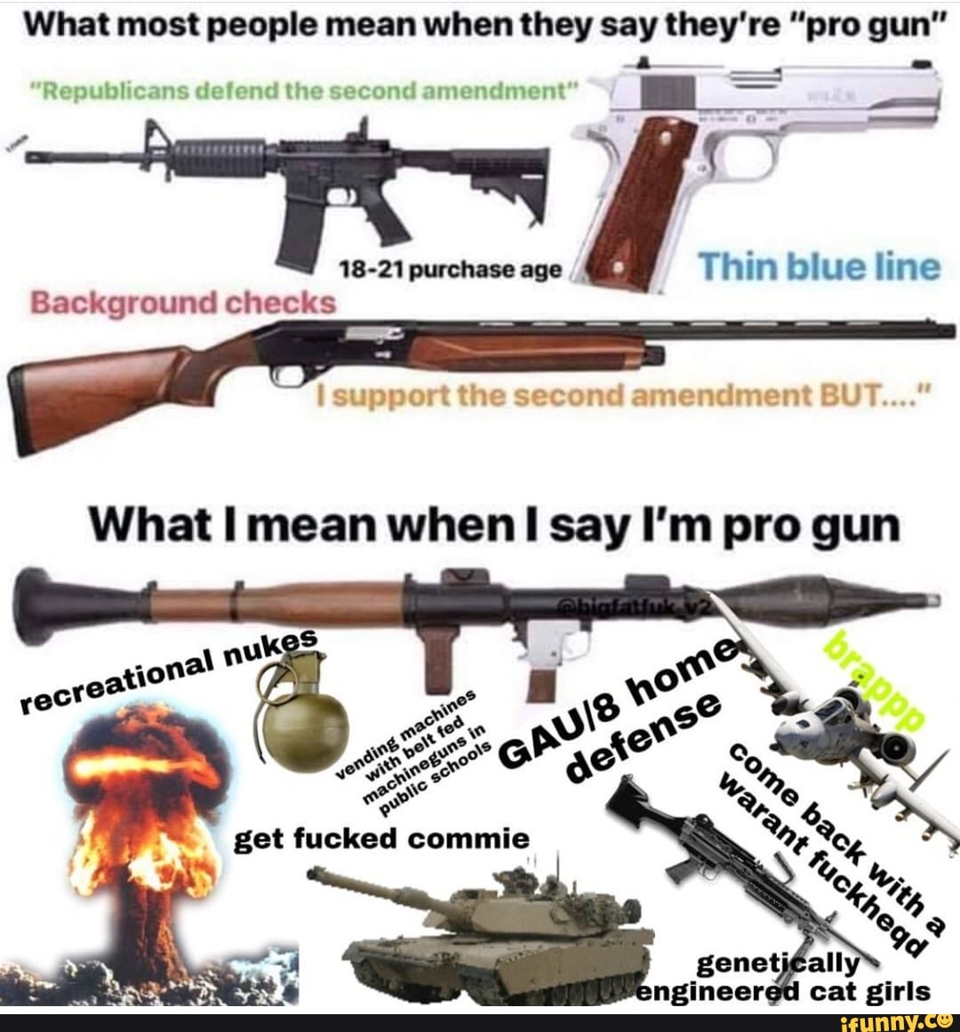 What most people mean when they say they' re "pro gun" What I mean when ...