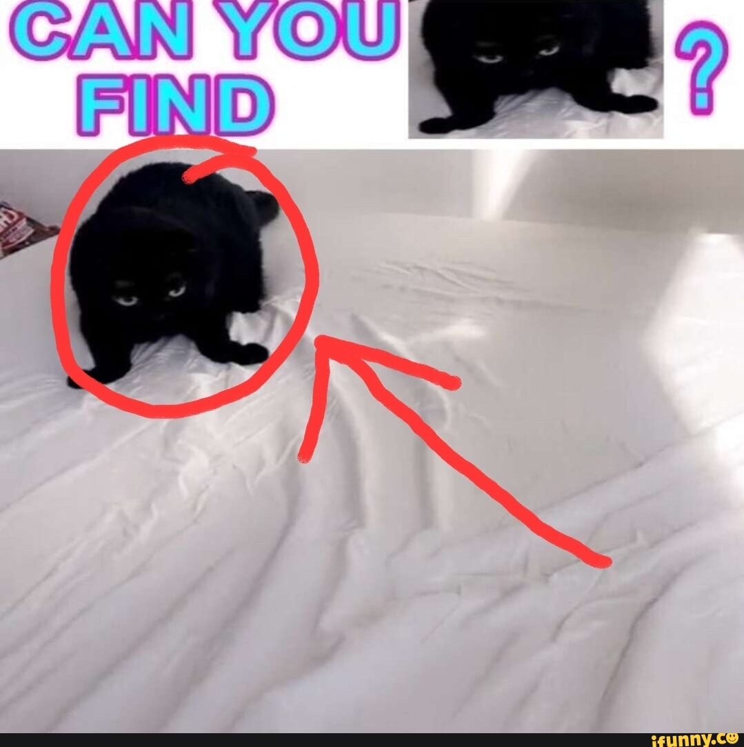 Picture memes RZzUztN1B by Goobfish: 16 comments - iFunny