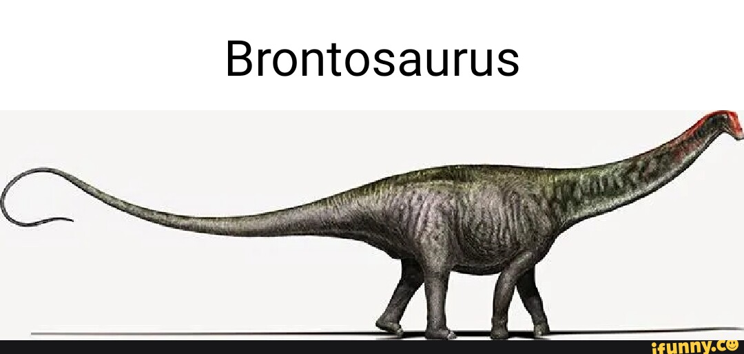 Brontosaurus memes. Best Collection of funny Brontosaurus pictures on ...