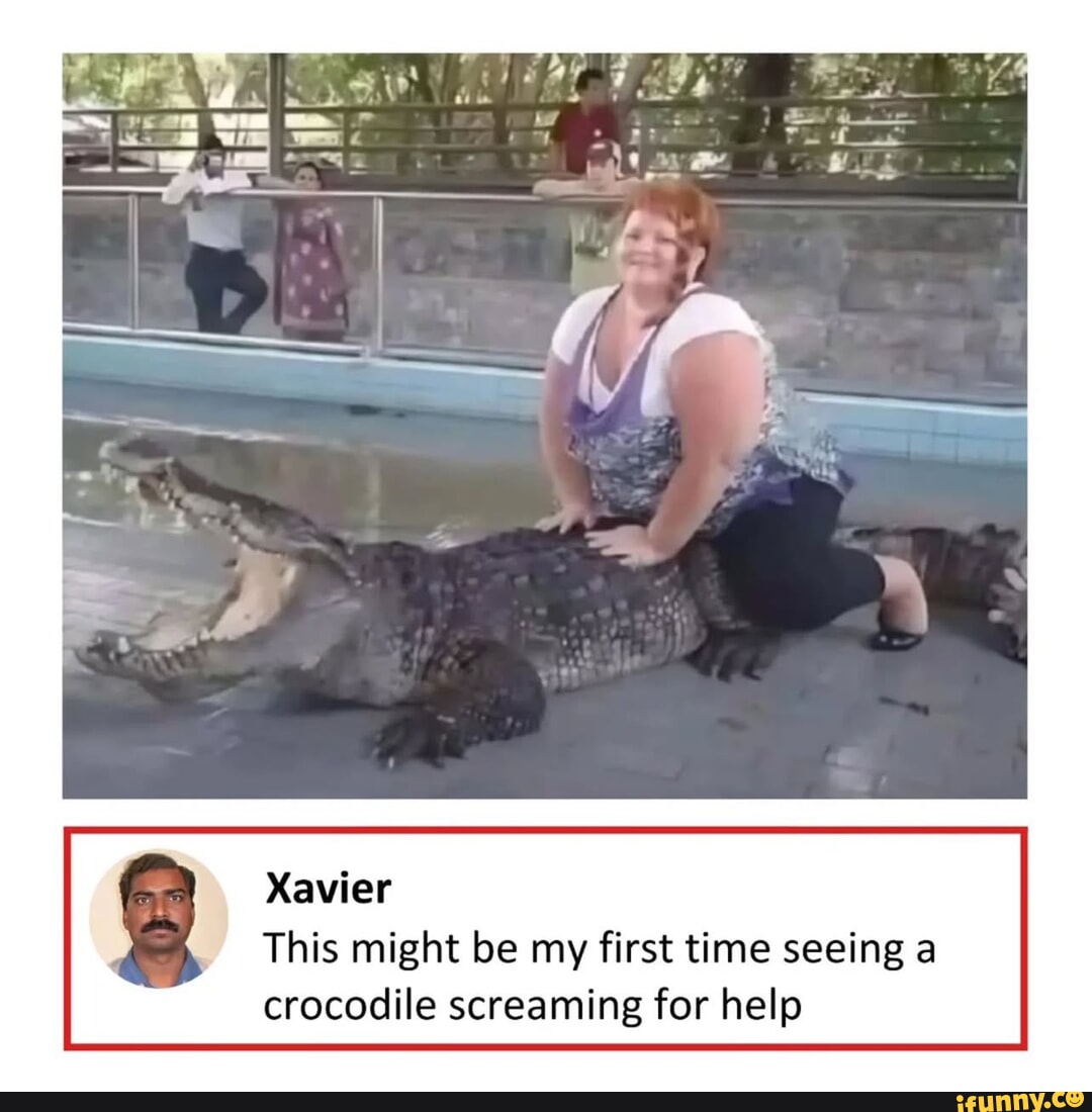 Fatlogic Memes