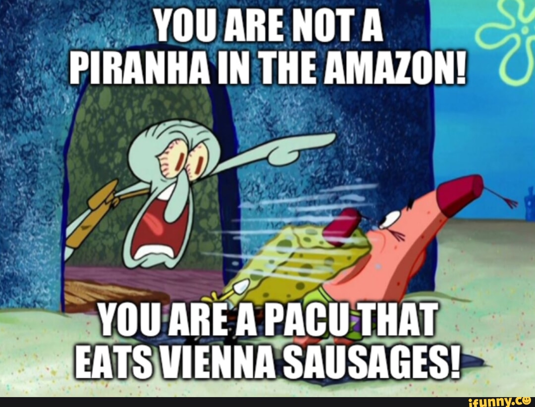 YOU ARE NOTA PIRANHA IN THE AMAZON! YOU AREA PACU THAT EATS VIENNA ...