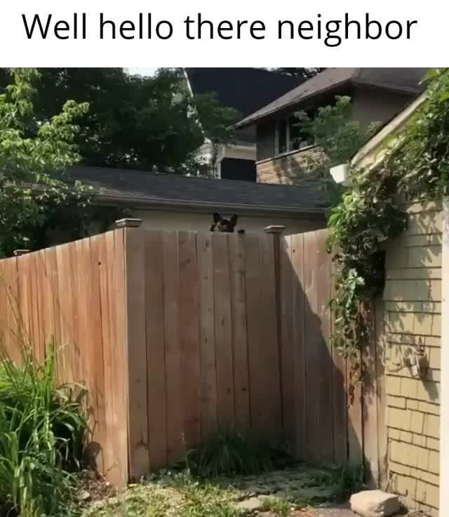 Well hello there neighbor - iFunny :)