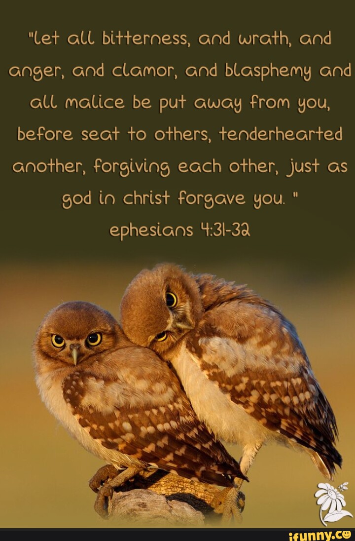 "Let all bitterness, and wrath, and anger, and clamor, and blasphemy ...