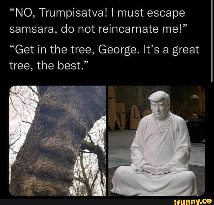 Samsara memes. Best Collection of funny Samsara pictures on iFunny