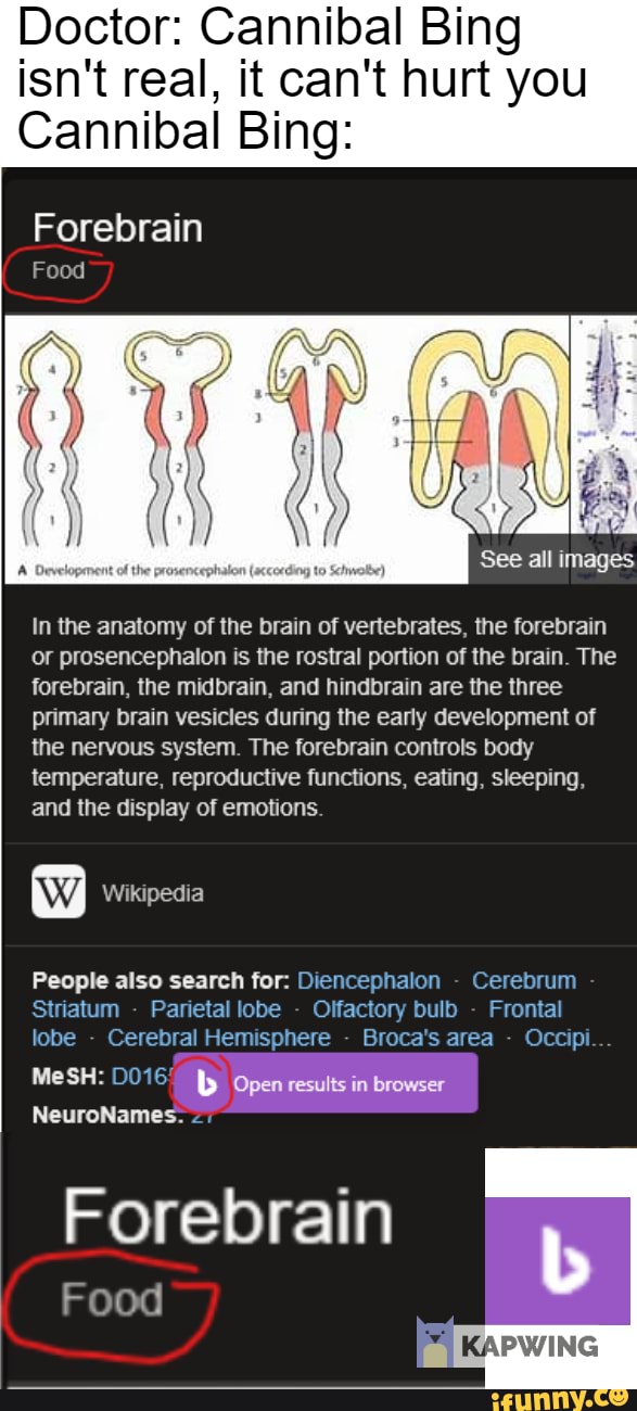 Midbrain memes. Best Collection of funny Midbrain pictures on iFunny