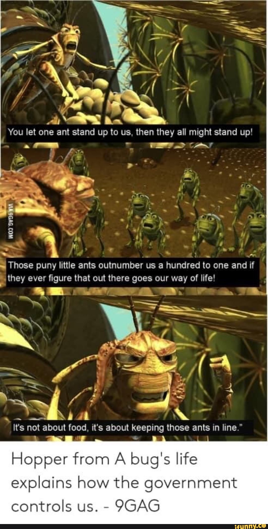 You let one ant stand up to us, then they all might stand up! = I hose ...