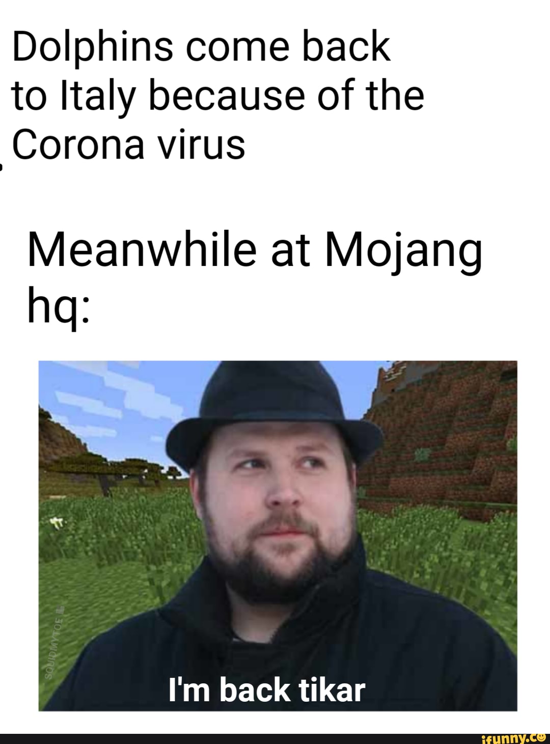 Dolphins come back to Italy because of the Corona virus Meanwhile at ...