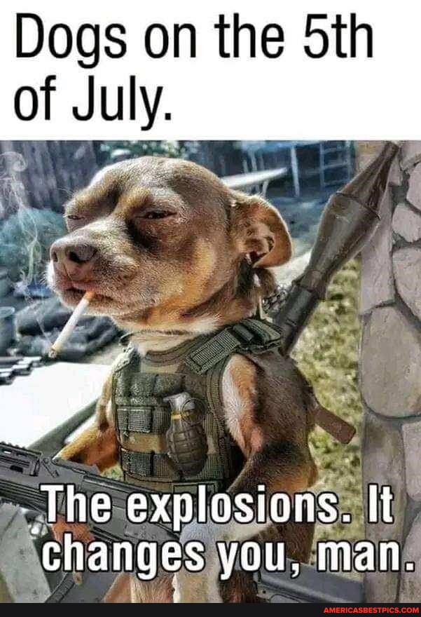 Dogs on the July. The explosions. It changes you, man. - America’s best ...