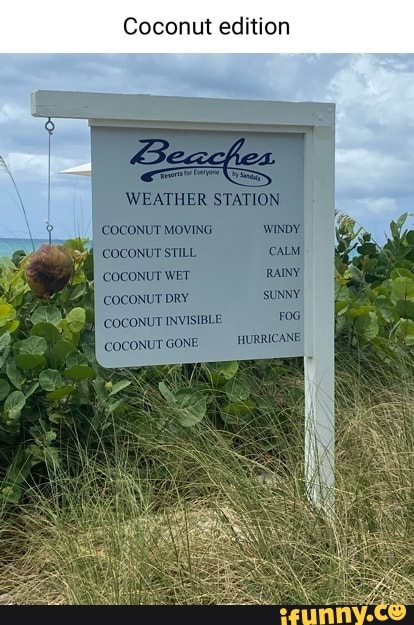 Coconutgone memes. Best Collection of funny Coconutgone pictures on iFunny