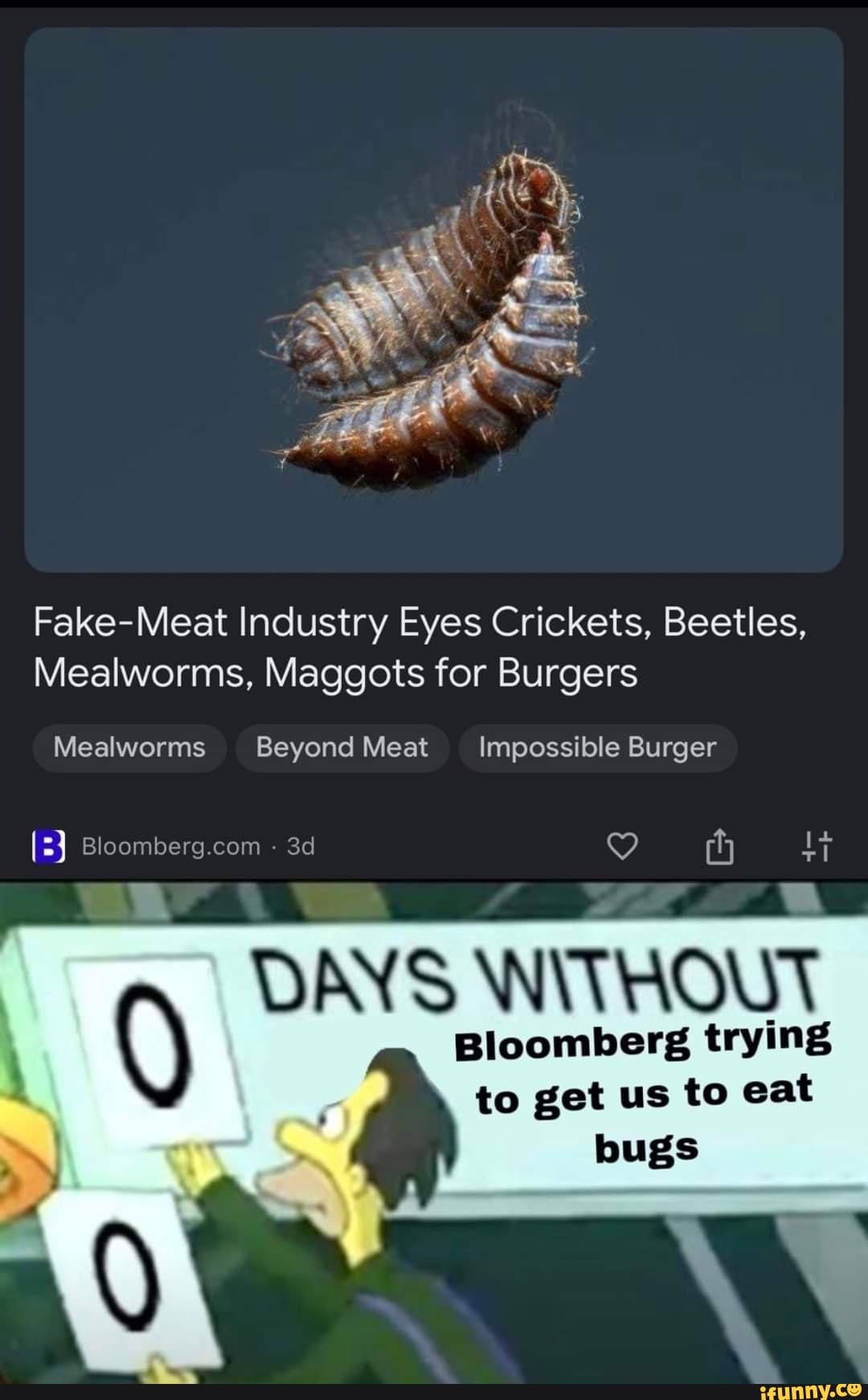 Fake-Meat Industry Eyes Crickets, Beetles, Mealworms, Maggots for ...