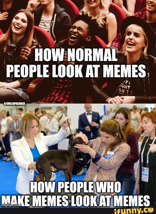 HOW NORMAL PEOPLE LOOK AT MEMES HOW PEOPLE WHO - iFunny