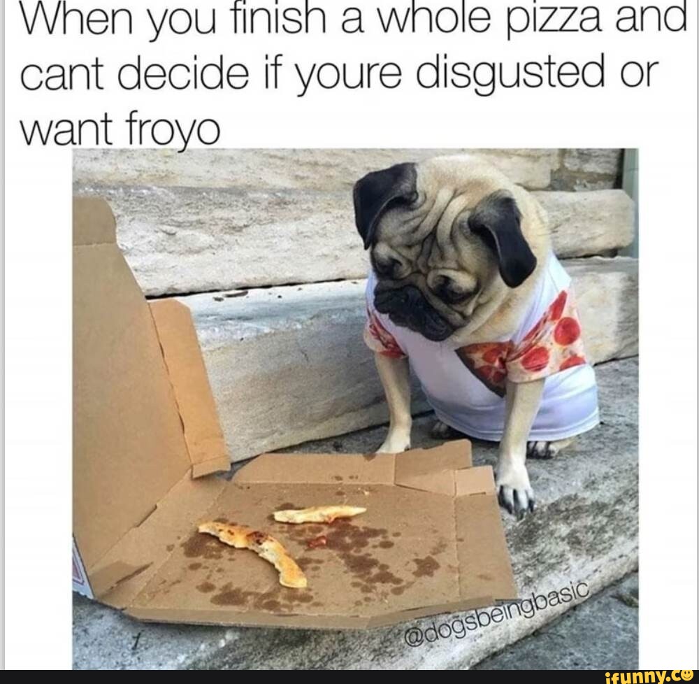Froyo memes. Best Collection of funny Froyo pictures on iFunny