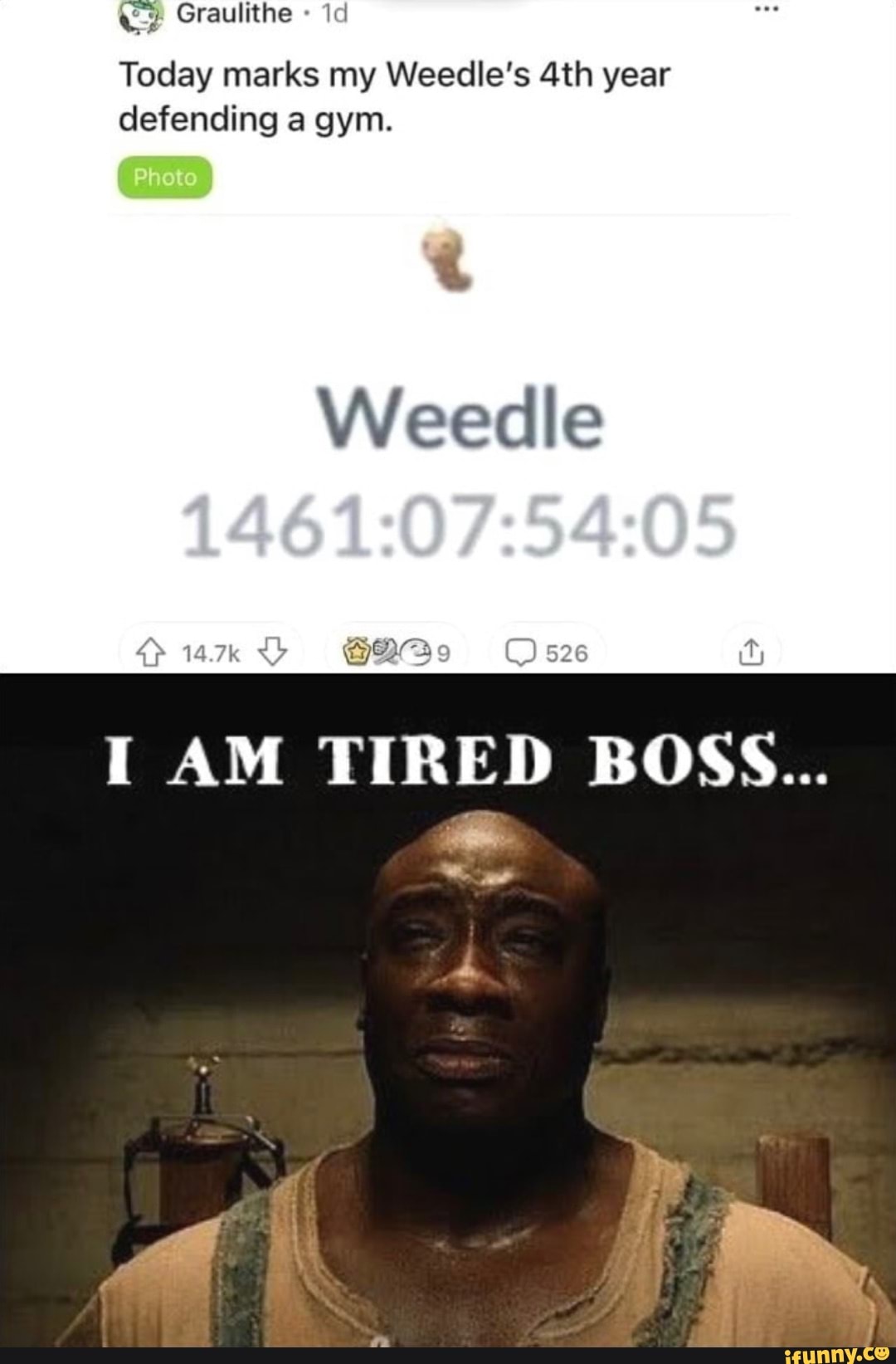 Graulithe Today marks my Weedle's year defending a gym. Weedle I AM ...