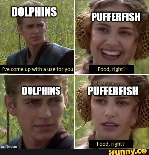 DOLPHIN PUFFERFISH DOLPHINS PUFFERFISH Food, right? - iFunny