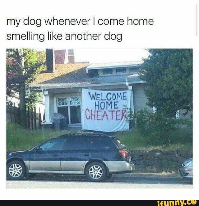 Welcome_home memes. Best Collection of funny Welcome_home pictures on ...