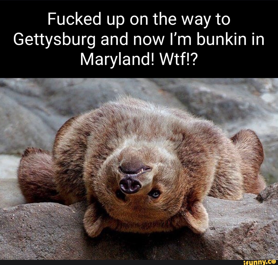 Gettysburg memes. Best Collection of funny Gettysburg pictures on iFunny