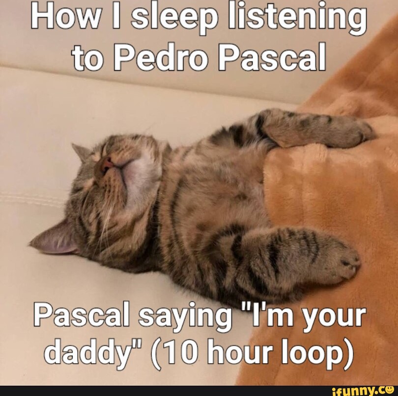 How I sleep listening to Pedro Pascal Pascal saying "I'm your daddy ...