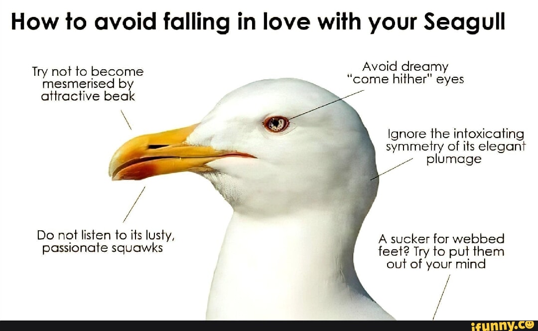 Symmetry memes. Best Collection of funny Symmetry pictures on iFunny