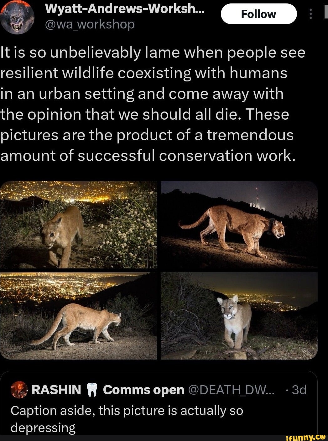 Wyatt-Andrews-Worksh... Follow It is so unbelievably lame when people ...