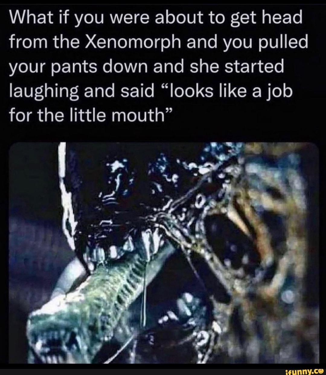 What if you were about to get head from the Xenomorph and you pulled ...