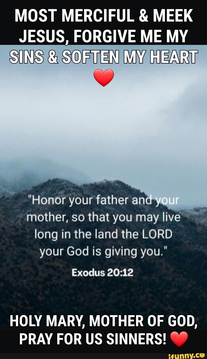 MOST MERCIFUL & MEEK JESUS, FORGIVE ME MY SINS SOFTEN MY HEART "Honor ...