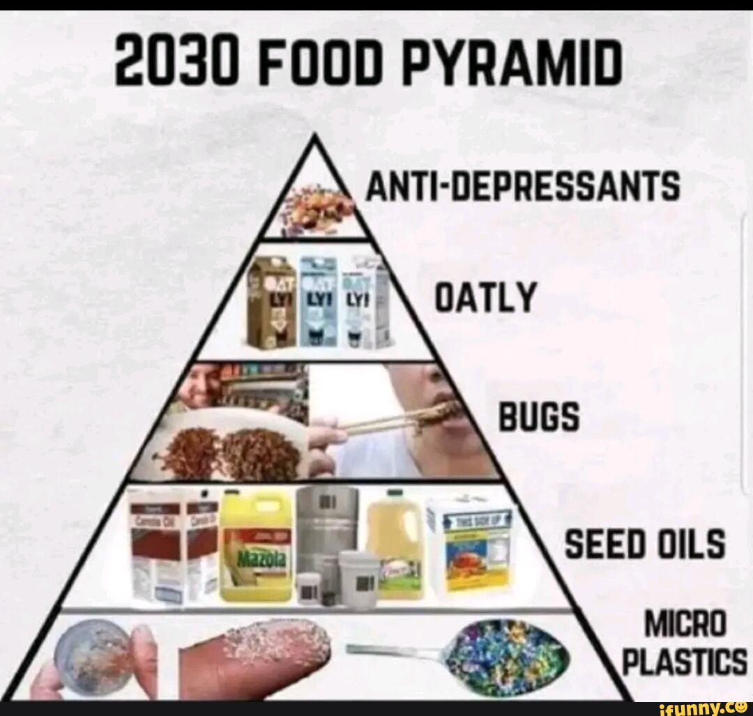 2030 FOOD PYRAMID ANTI-DEPRESSANTS ED OILS MICRO PLASTICS - iFunny