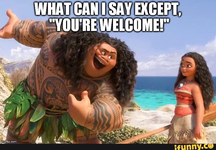 Your Welcome Meme Funny WHAT CANI SAY EXCEPT YOU'RE WELCOME