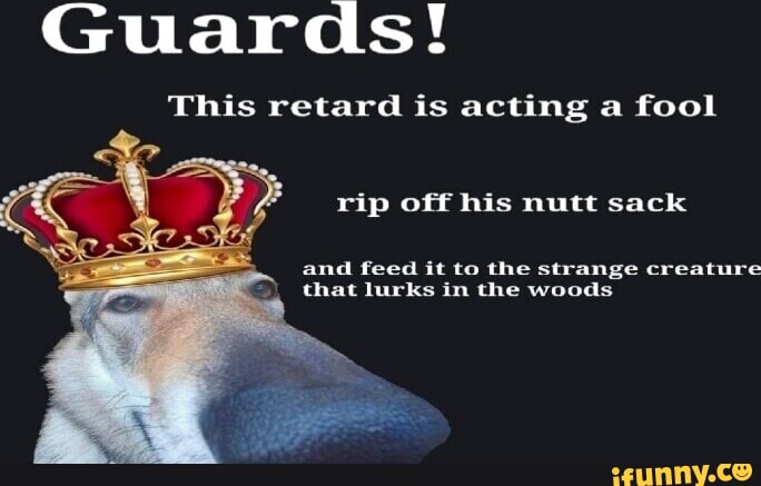 Mutt memes. Best Collection of funny Mutt pictures on iFunny