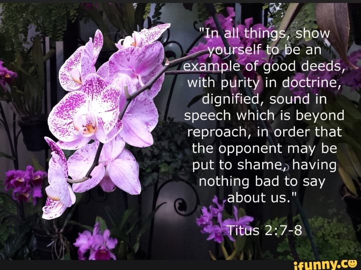 "hat show example of good deeds, with purity in doctrine, dignified ...