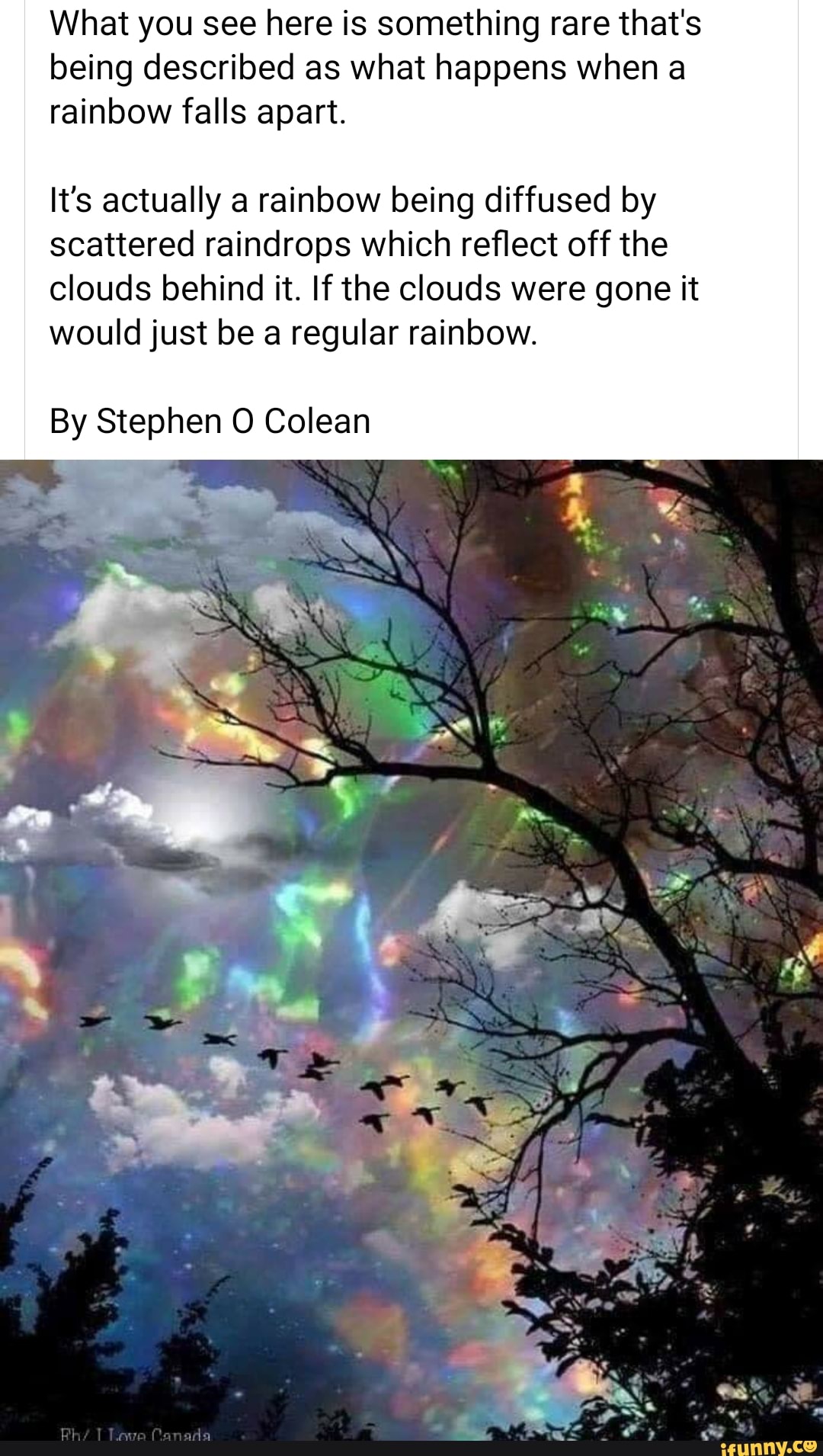 What you see here is something rare that's being described as what ...