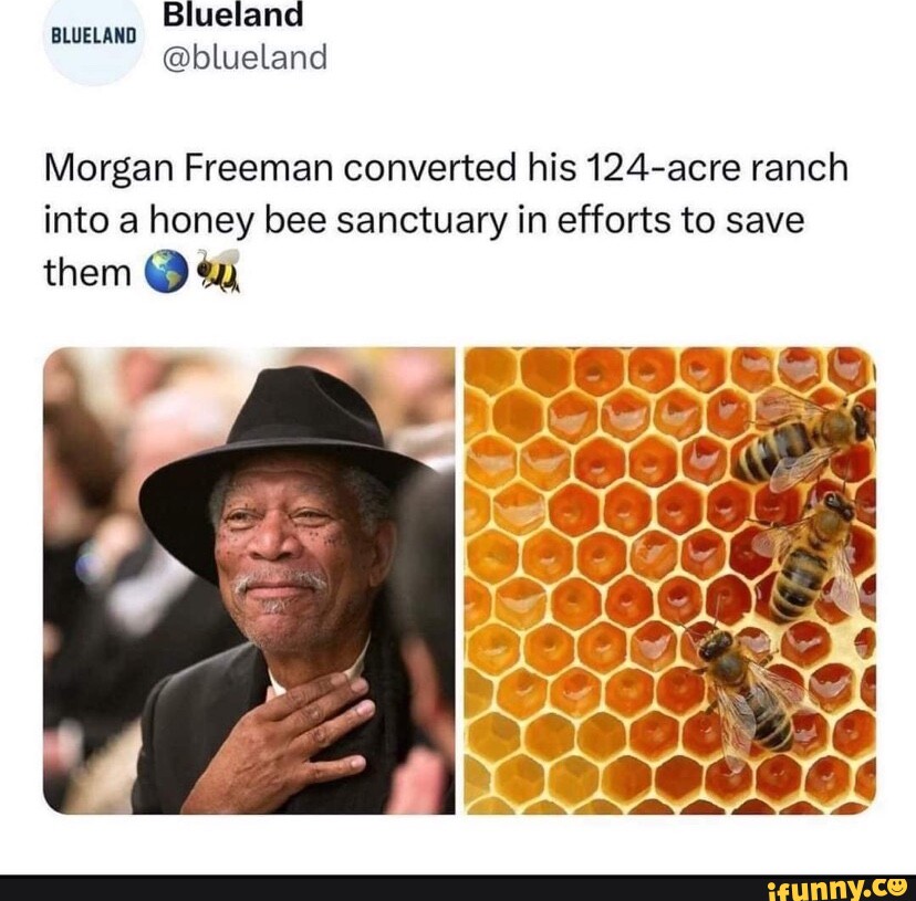 Blueland @blueland Morgan Freeman converted his 124-acre ranch into a ...