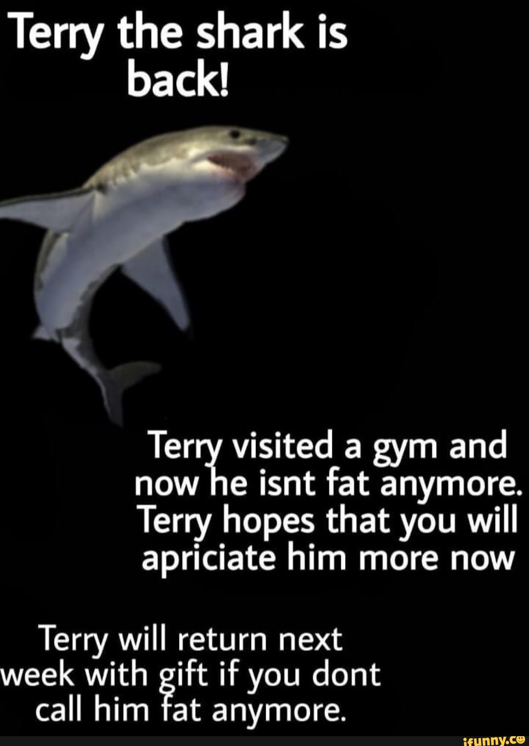Terry the shark is back! Terry visited a gym and now he isnt fat ...