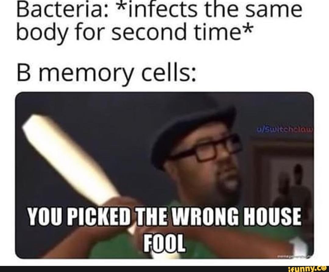 Bacteria memes. Best Collection of funny Bacteria pictures on iFunny