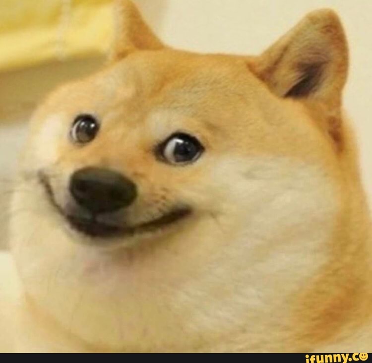 Curseddoge memes. Best Collection of funny Curseddoge pictures on iFunny