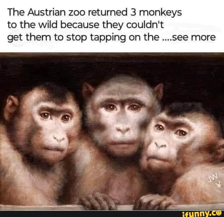 The Austrian zoo returned 3 monkeys to the wild because they couldn't ...