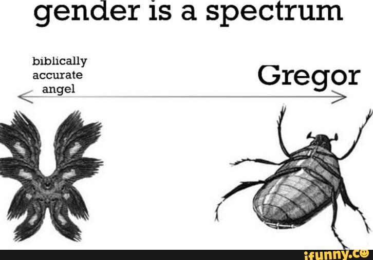 Gender is a spectrum Gregor biblically accurate angel - iFunny