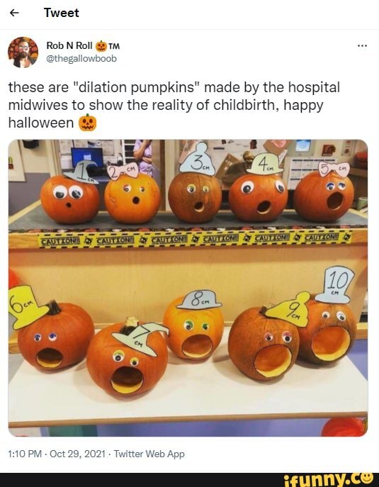 Sometimes art imitates wife. - Tweet Rob N Roll @thegallowboob these ...