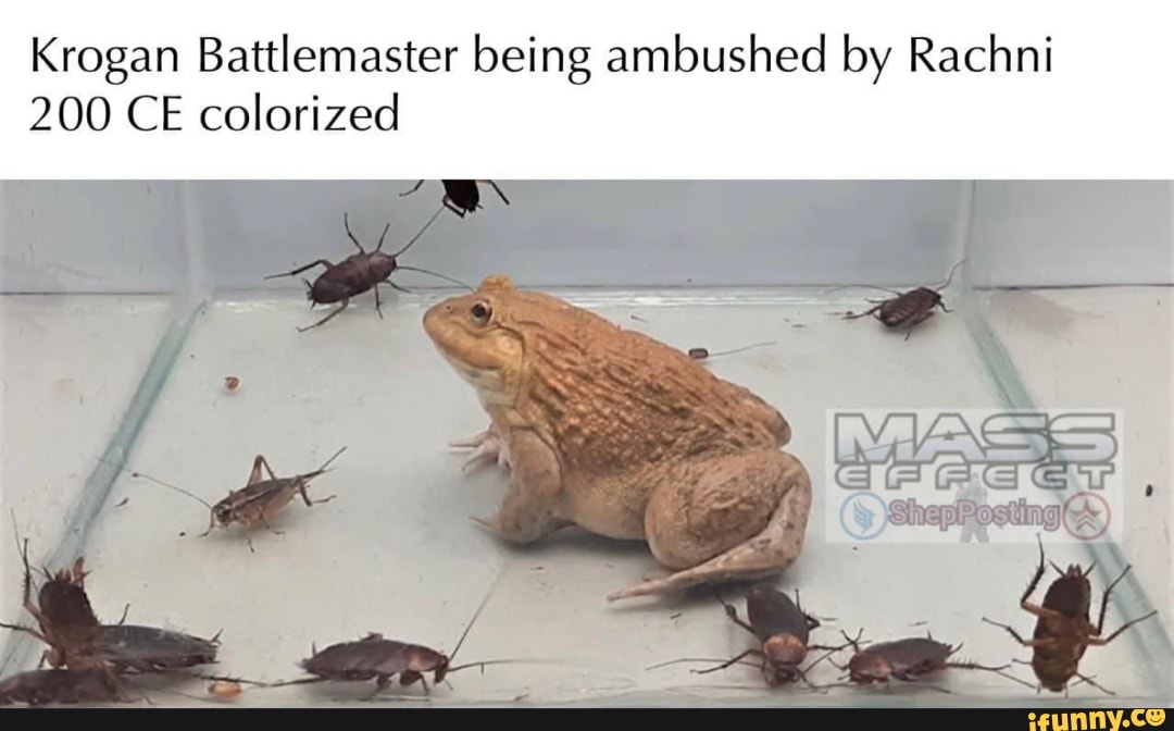 Krogan Battlemaster being ambushed by Rachni 200 CE colorized "by - iFunny