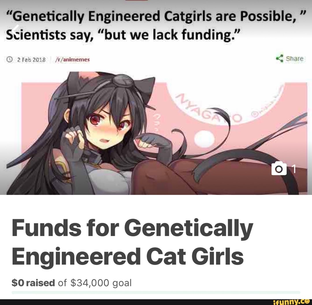"Genetically Engineered Catgirls are Possible, Scientists say, "but we ...