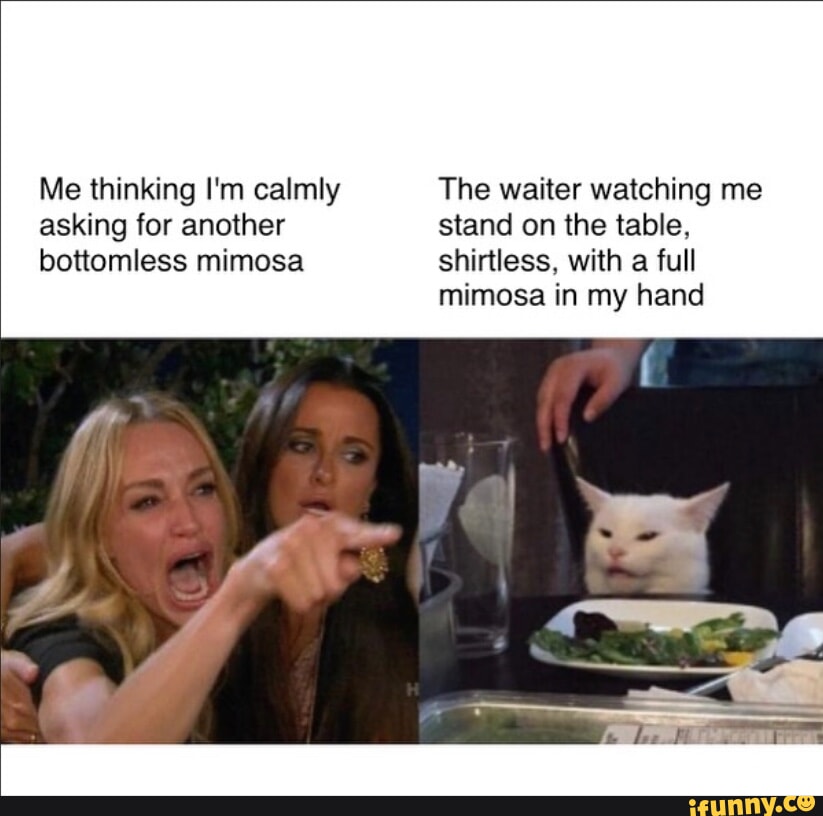 Mimosa memes. Best Collection of funny Mimosa pictures on iFunny