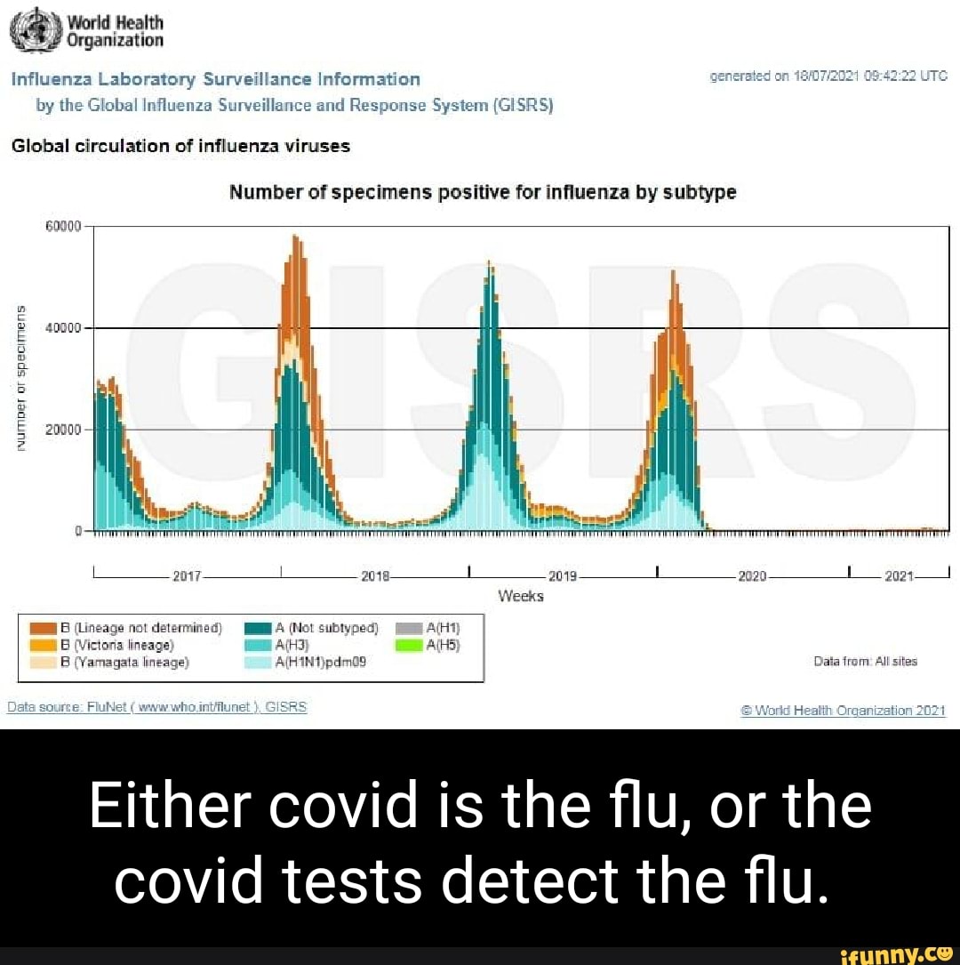 World Health Organization Influenza Laboratory Surveillance Information ...