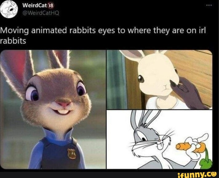 Funny Moving Animated Pictures