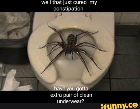 Constipation memes. Best Collection of funny Constipation pictures on ...