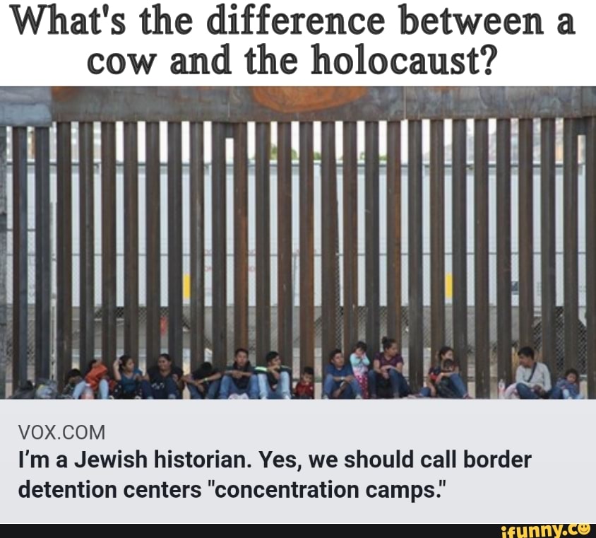 What's the difference between a cow and th holocaust? VOX.COM I'm a ...
